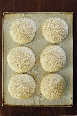 We Knead To Bake #30 : Mexican Cemita Buns Recipe | My Diverse Kitchen ...