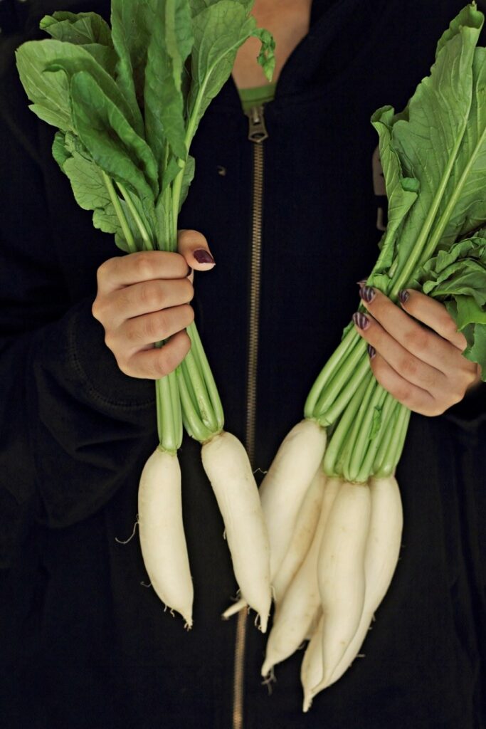 Korean Style Pickled Radish - My Diverse Kitchen - A Vegetarian Blog